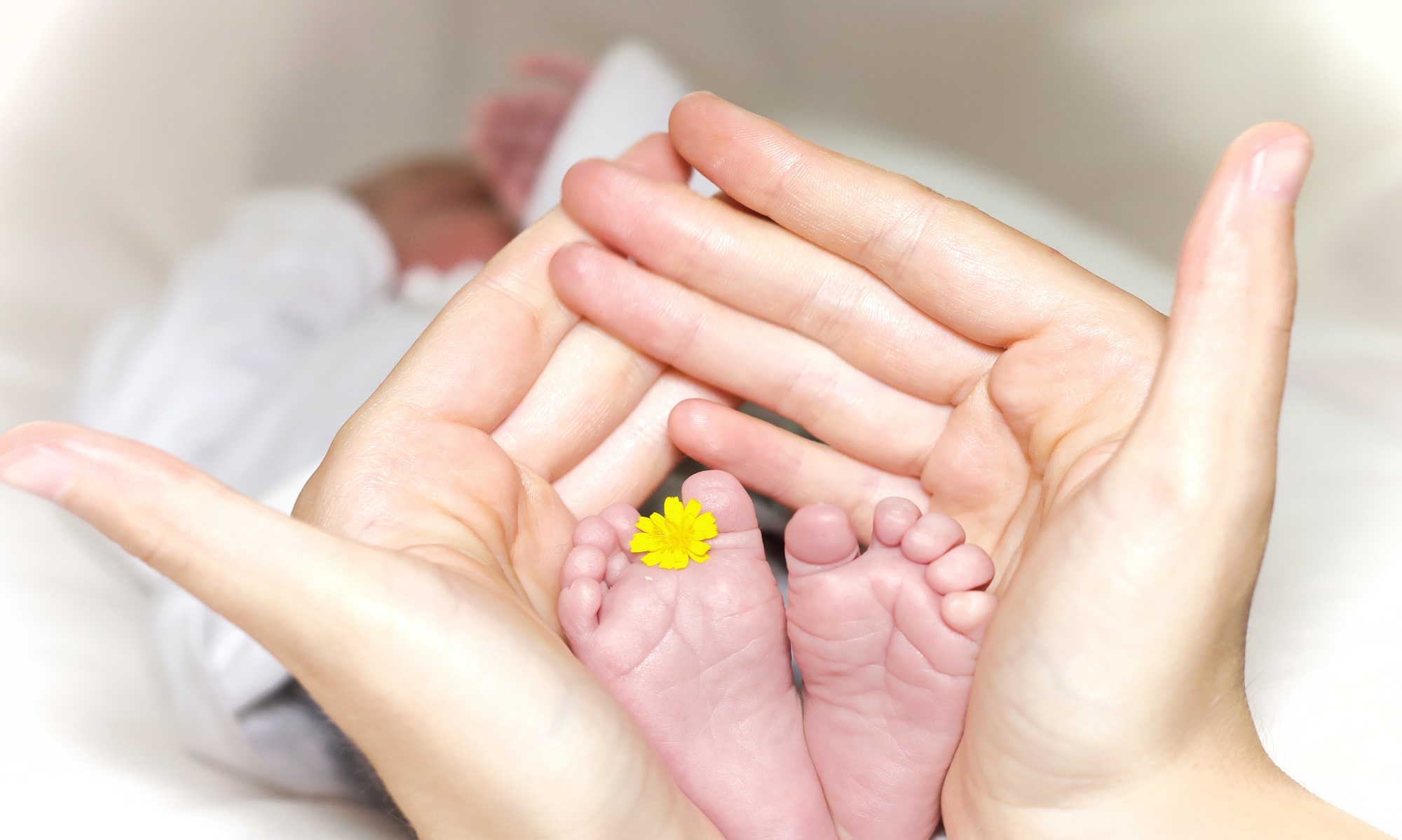 International Surrogacy Process-Surrogacy Consultation | IVF Conceptions