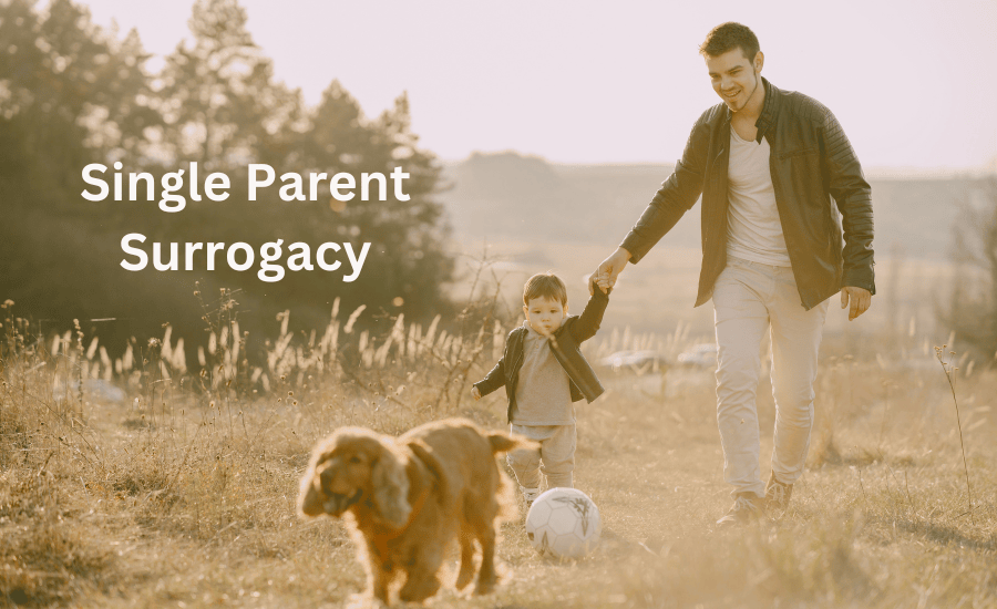 Surrogacy in Michigan: Laws, Agencies, and Gestational Surrogacy
